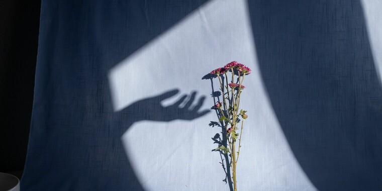 Join the Shadow Quest Photo Contest and win Tamron 18-200mm Lens ...